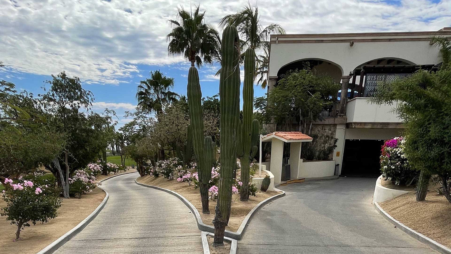 Frondoso - Cabo Landscaping, Luxury Homes, Native Plant Nurseries.