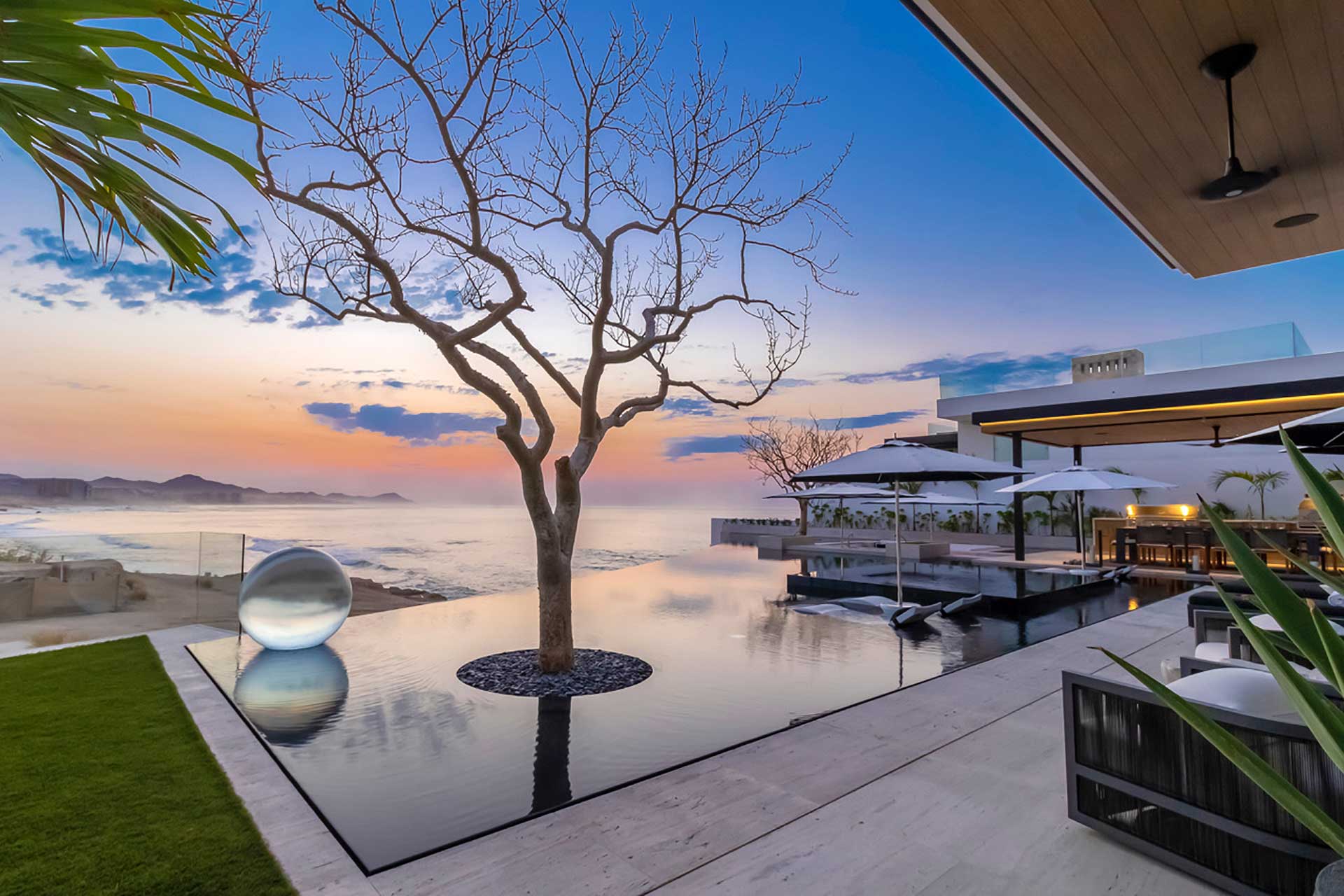 Frondoso - Cabo Landscaping, Luxury Homes, Native Plant Nurseries.