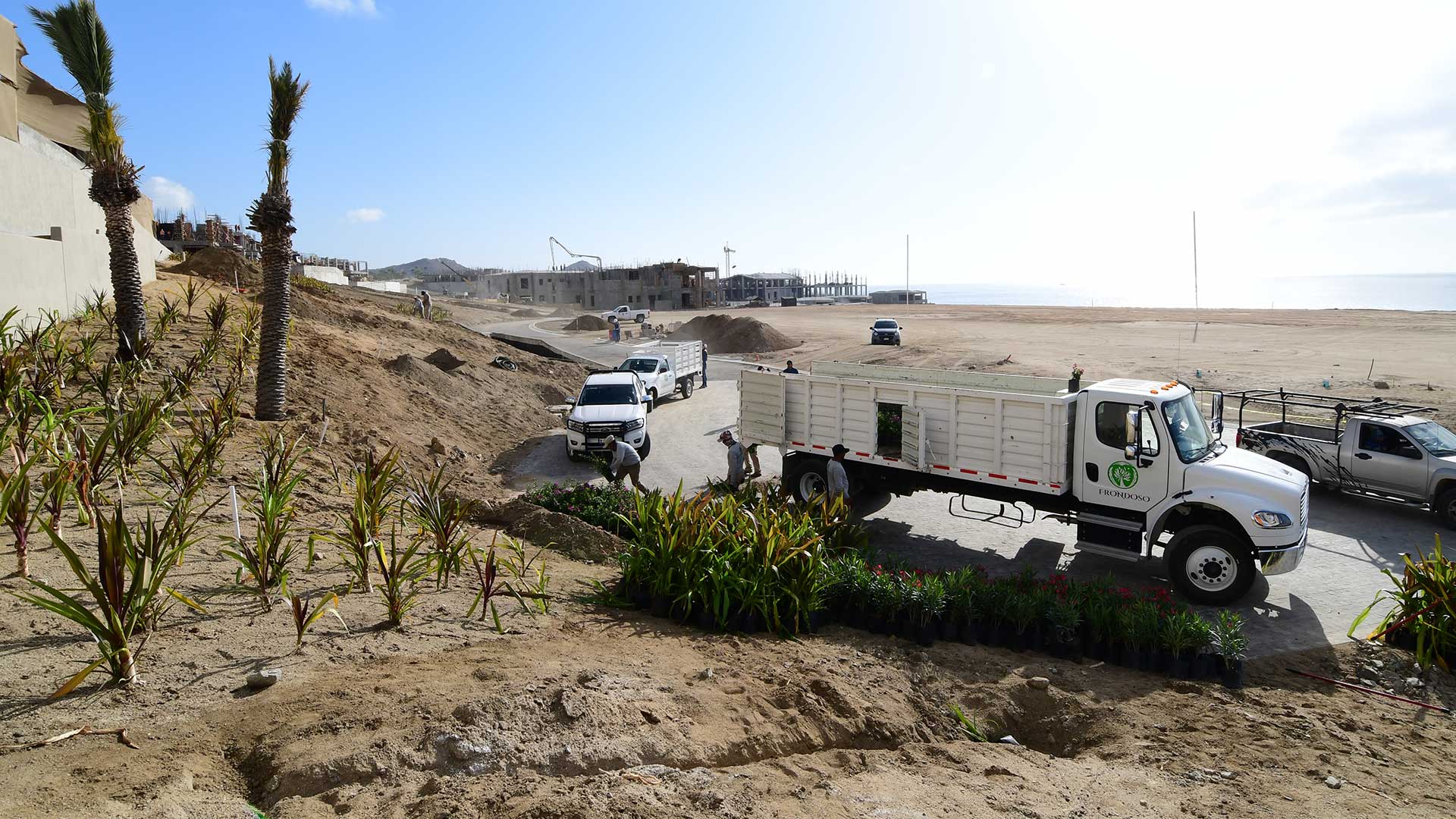 Frondoso - Cabo Landscaping, Luxury Homes, Native Plant Nurseries.